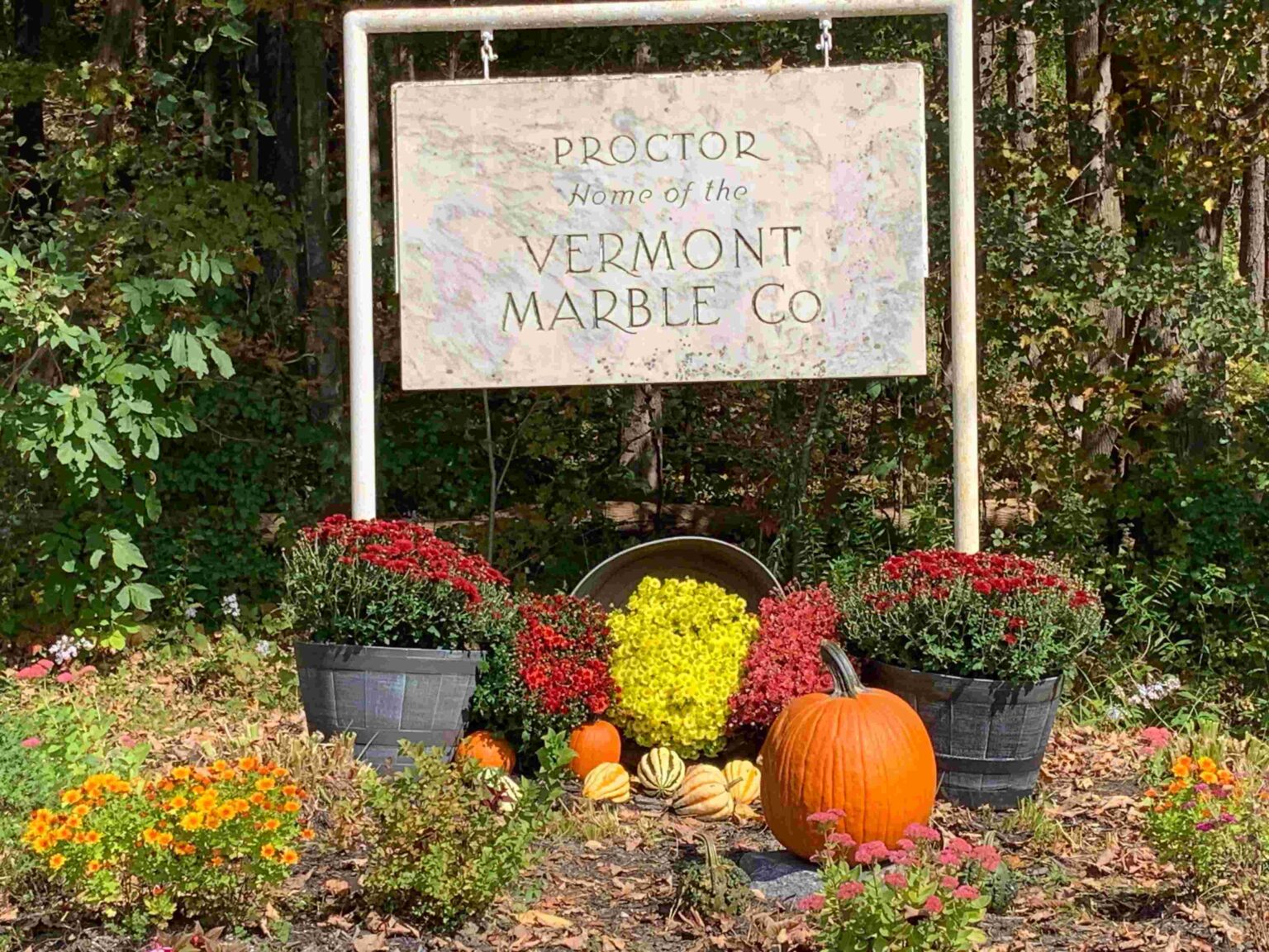 home [proctorvermont.com]
